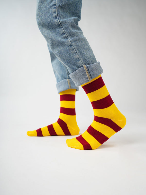 Gryffindor (Harry Potter) Socks Pack
